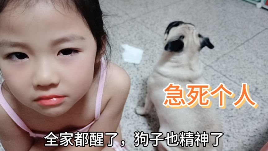 四岁妮妮半夜突然呕吐不止,把全家都吓坏了,又一个不眠的夜晚