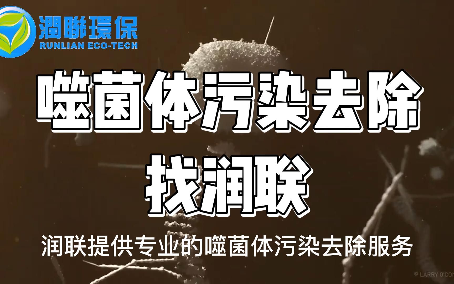 润联提供实验室噬菌体污染专业解决方案