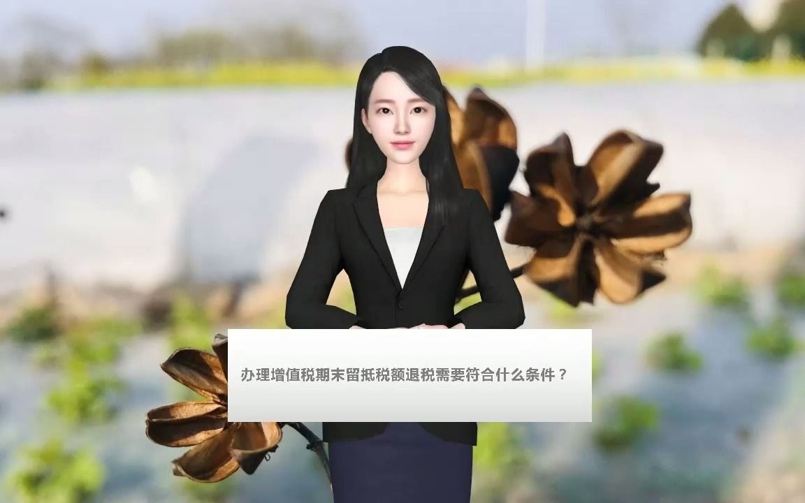 办理增值税期末留抵税额退税需要符合什么条件?