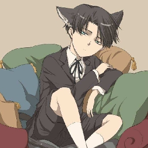 船长先生丶 