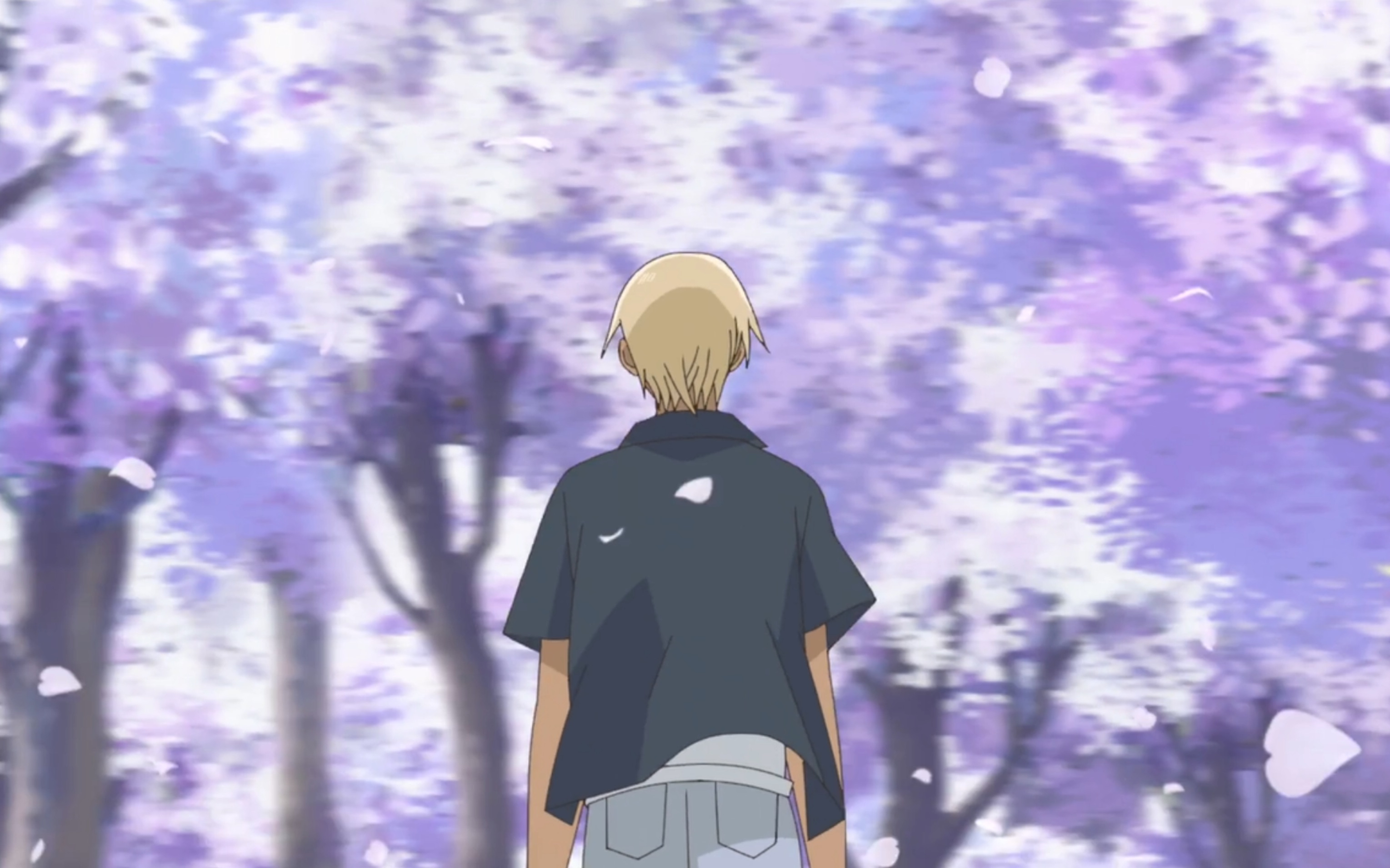 安室哈罗|樱花魔法【名侦探柯南:零的日常】