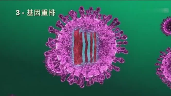流感:无法预测的威胁(世界卫生组织宣传片)