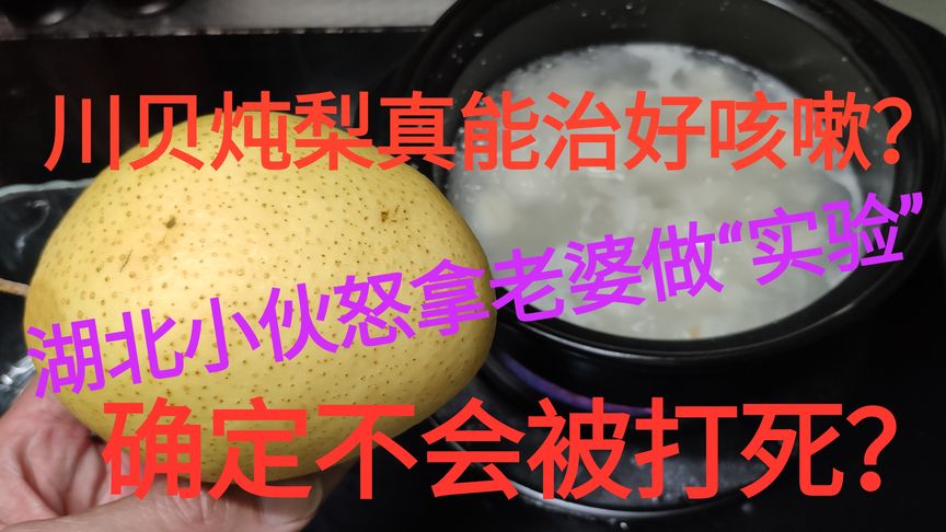 川贝炖梨能治疗咳嗽?湖北小伙在亲老婆身上做实验,真能治好吗?
