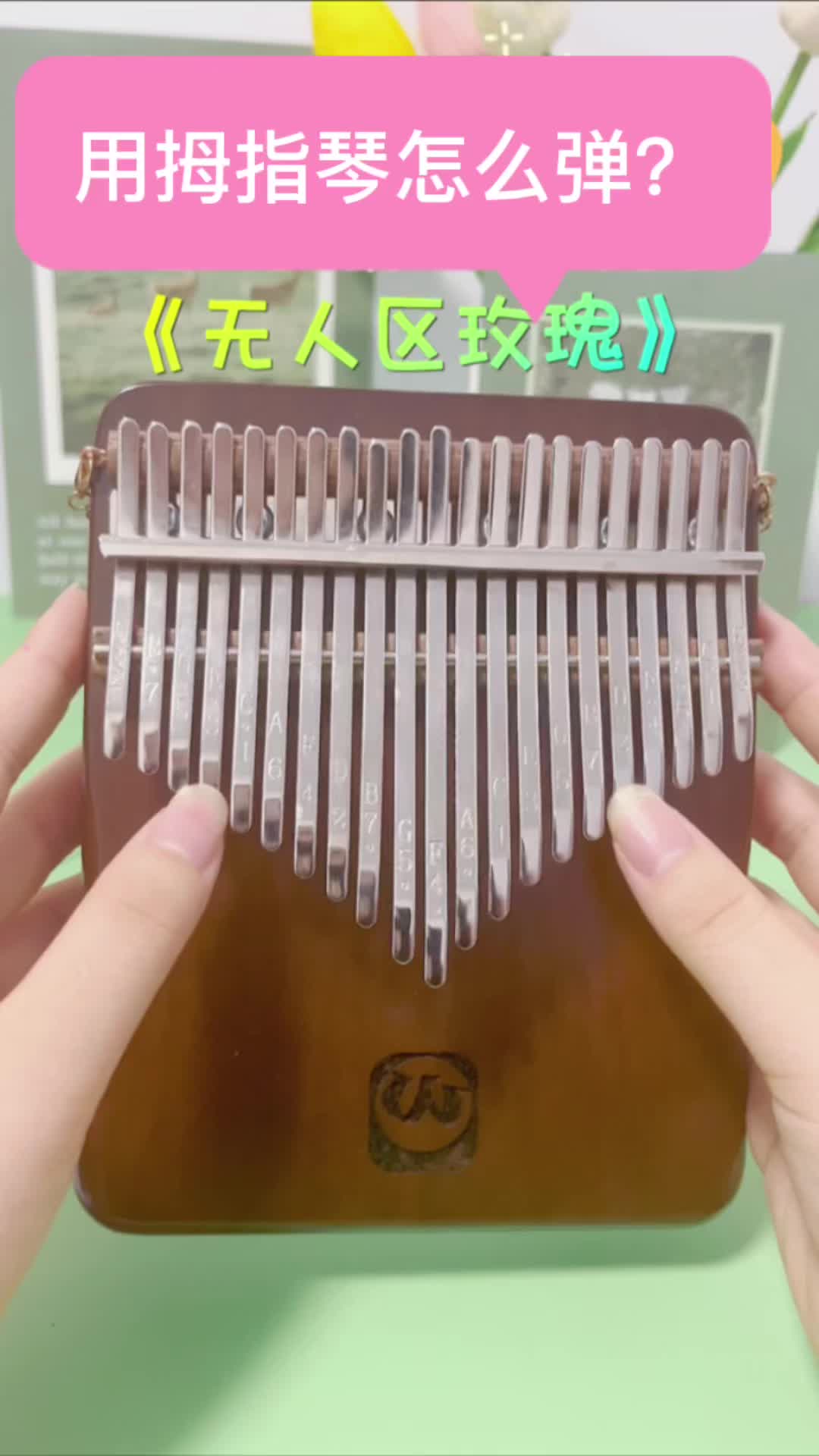 无人区玫瑰用拇指琴怎么弹无人区玫瑰简谱卡林巴拇指琴教学简谱拇