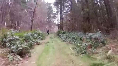 森林里面,被拍到的神秘生物?你能才出是什么