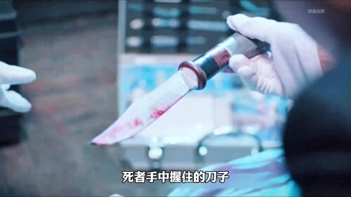 一口气看完法医秦明《恐怖派对女尸案》