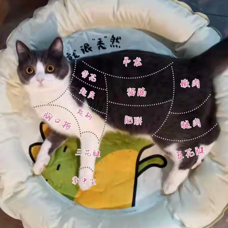 密雪冰城棺方站 