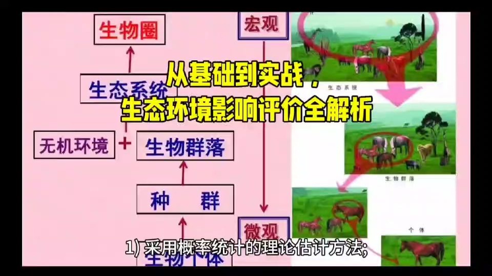 生态环境影响评价全解析