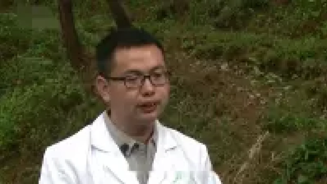 铁皮石斛粉的功效与作用发现之旅采访六安康顺堂石斛有限公司