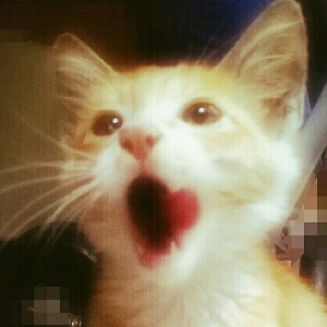 爱在工作中摸鱼的星途 