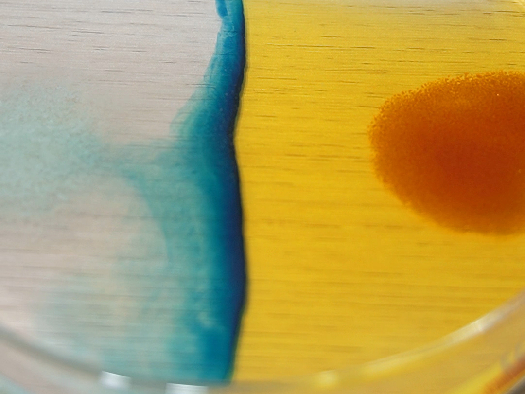 硫酸亚铁和铁氰化钾反应