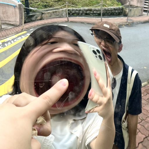 舟舟不解梦 