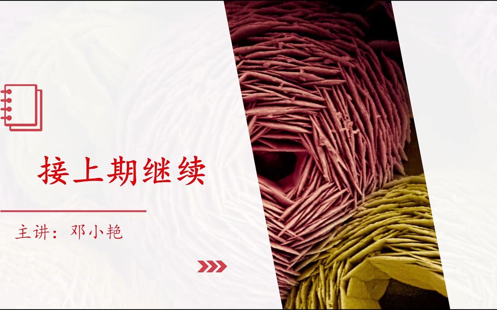 办公软件WPS全套新手自学教程,从零开始超详细讲解:2基础预备课
