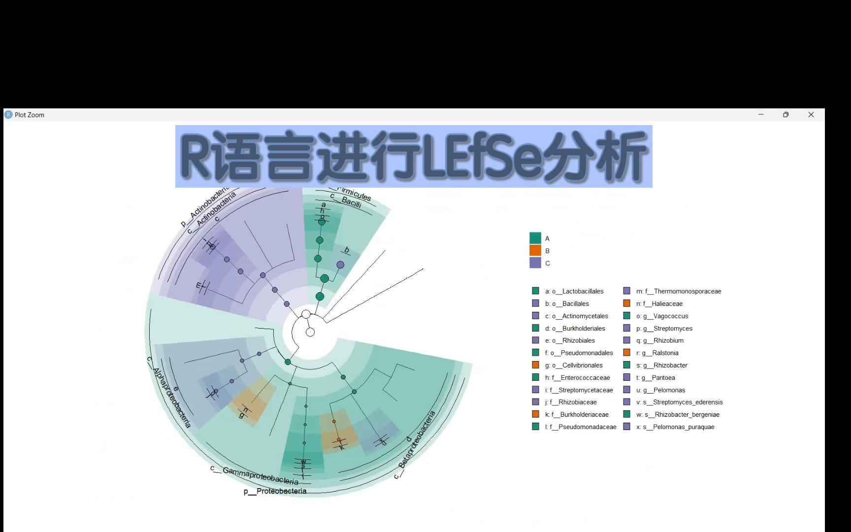R语言进行LEfSe分析,学起来,希望能帮助到大家