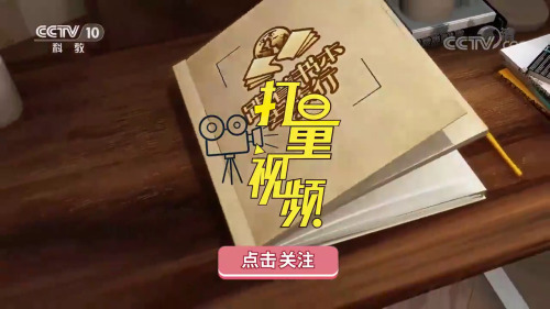 千百年来,面食一直都是南阳老百姓餐桌上的主角丨跟着书本去旅行