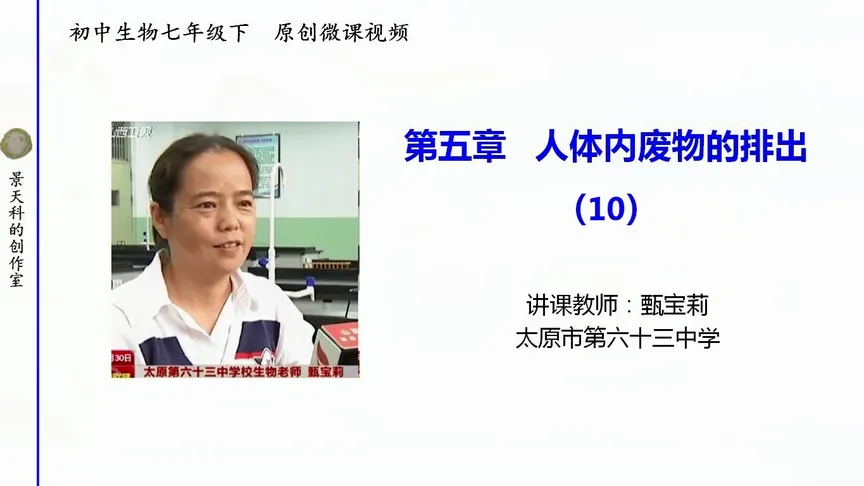 初中生物七下 第五章 人体内废物的排出 10 制作简易肾单位模型