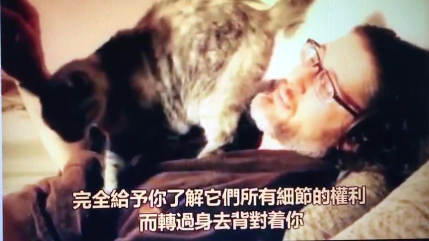 原来猫咪这种动作是为了向你示好,信任你,你家主子可有?