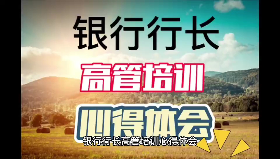 银行行长高管培训心得体会