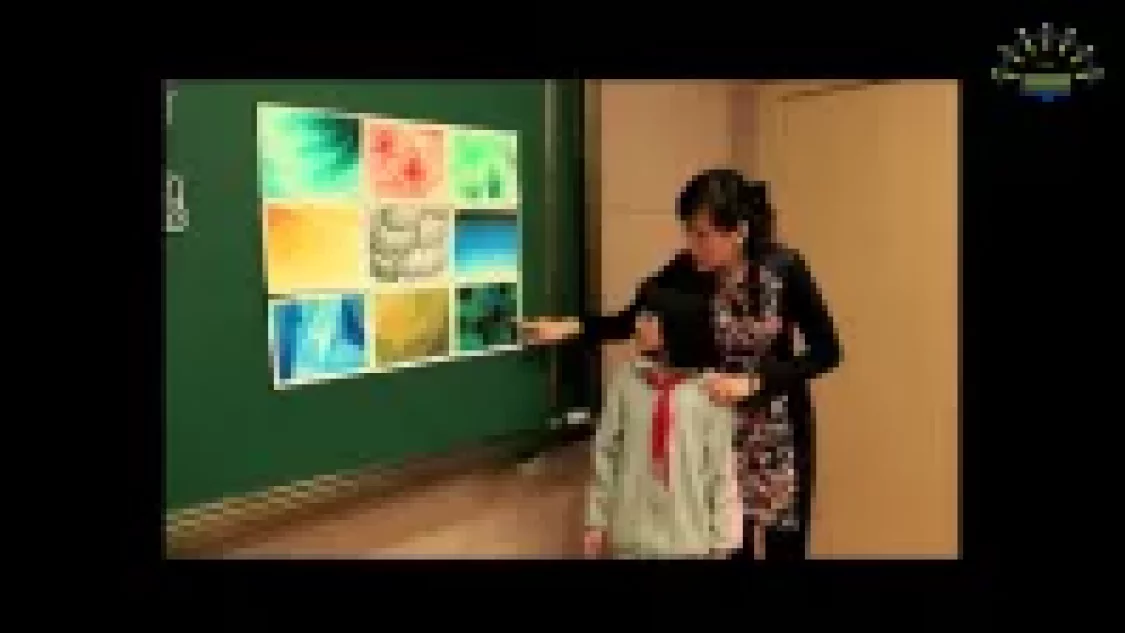 【课堂实录】小学美术 人教版 (四下—5)《色彩的明与暗》赵君 济南市...