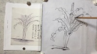 画家弘瑞/传统山水画技法教学系列(89讲)白描芭蕉的画法