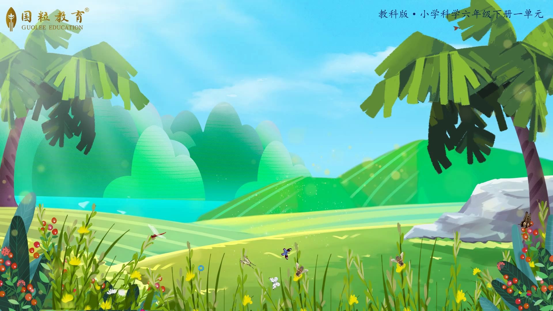 国粒教育小学科学六年级下册第一单元