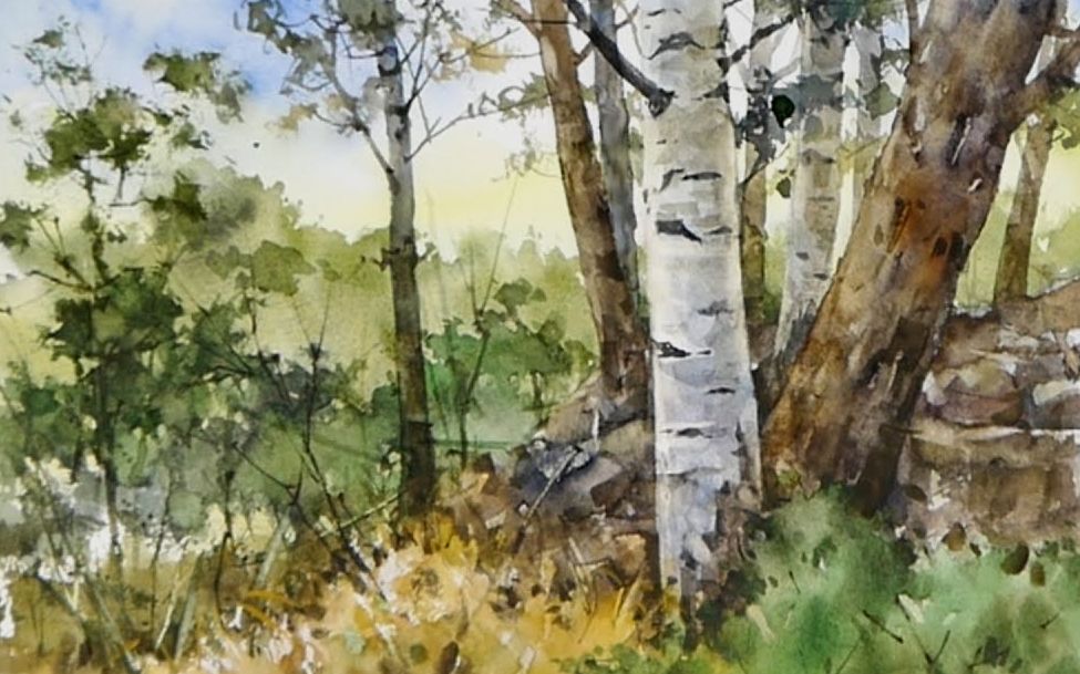 【水彩】森林,不打线稿的水彩画法