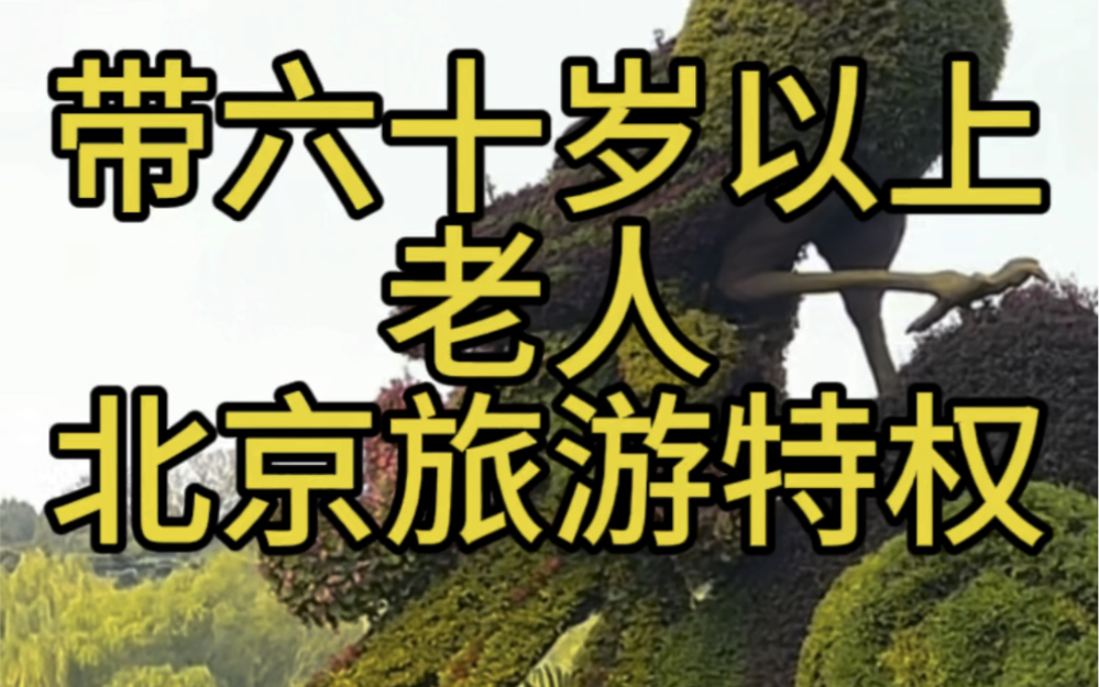 ...特权都不一样!享受半价的景区有:故宫博物院旺季半价30,珍宝馆,钟表...
