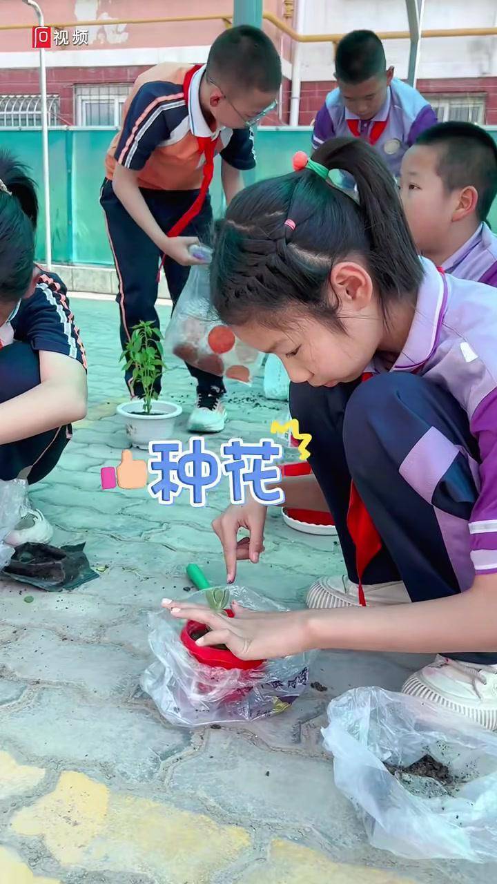 近日,平罗县各学校相继开展劳动实践活动和劳动技能竞赛,以丰富多彩...