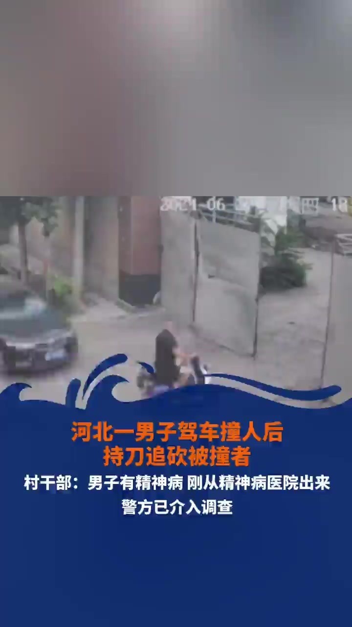 河北一男子驾车撞人后持刀追砍被撞者,村干部:男子有精神病,刚从精神...