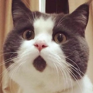 青瓷电影 