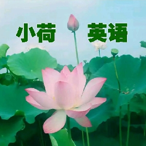 荷老师英语 