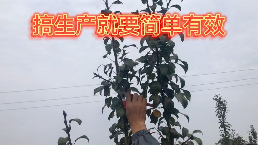 搞生产就要简单、直接、有效!数据化管理一二三带你上高速!