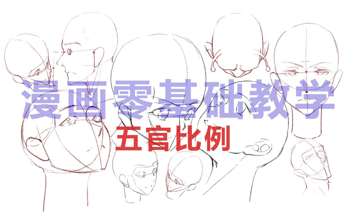 【漫画零基础教程】从O开始自学漫画——头部与五官比例。为什么...