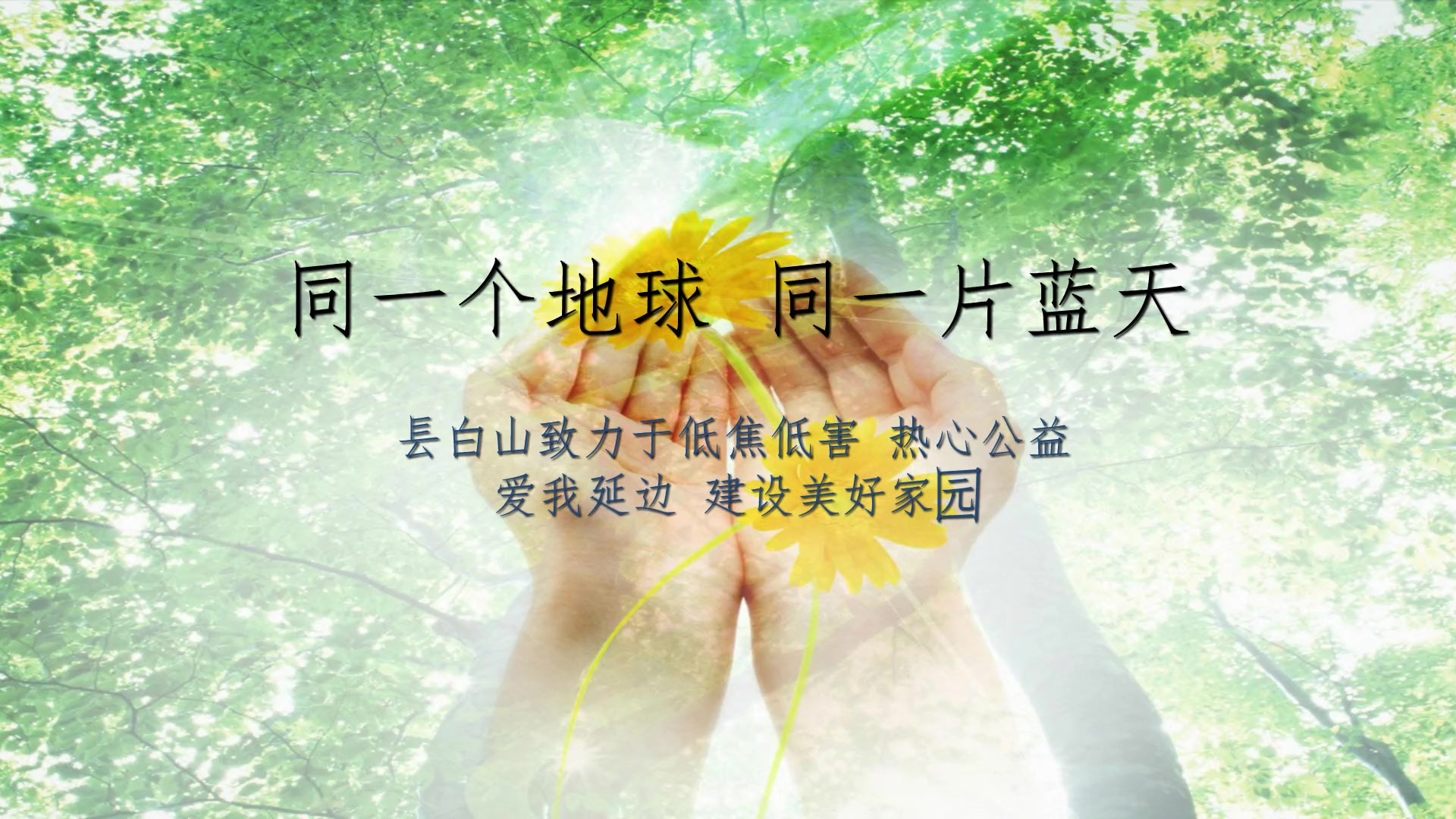 【抖音动画视频怎么制作】看完这个你还敢不保护树林?