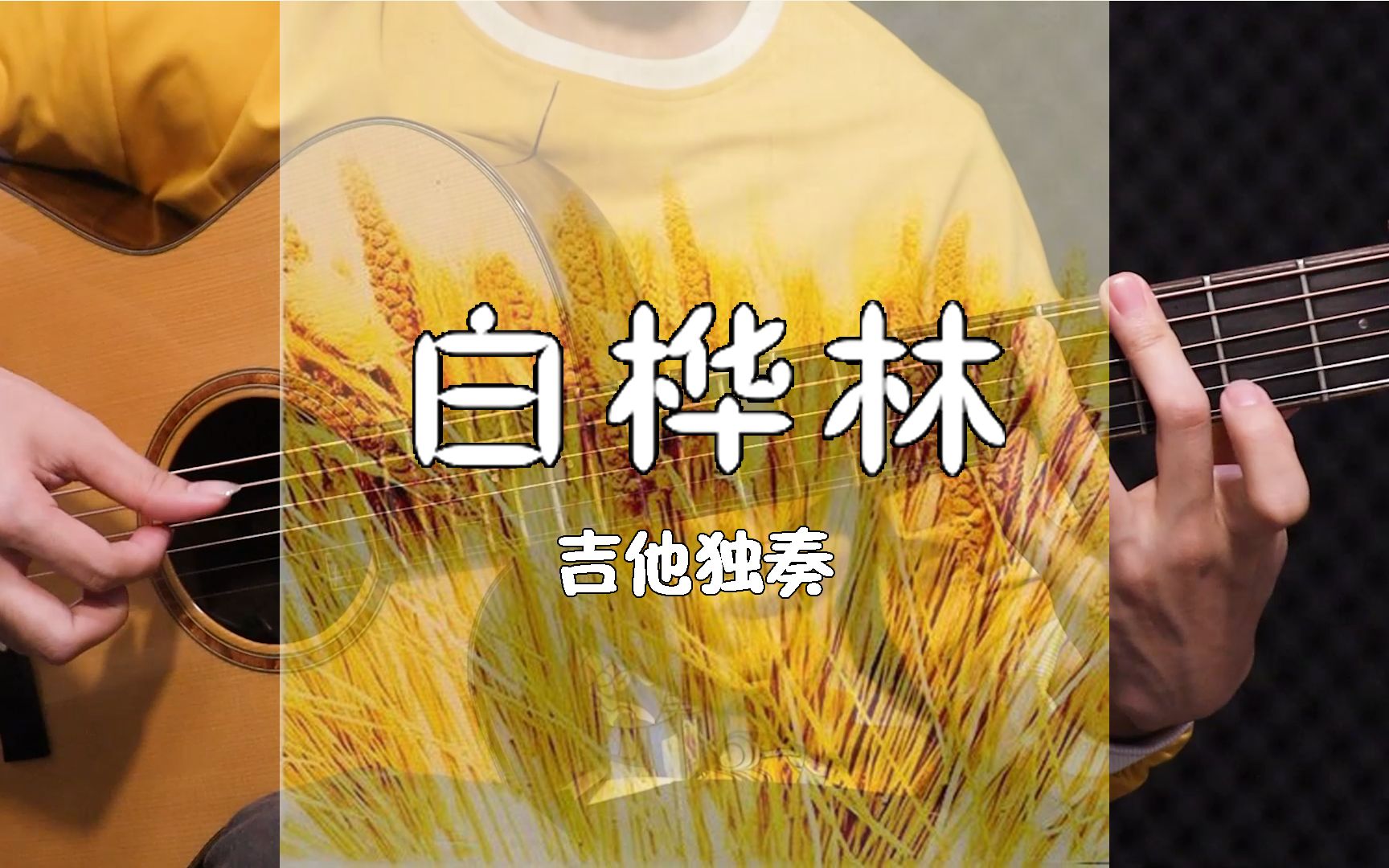 【指弹吉他】凄美的音乐!白桦林吉他改编