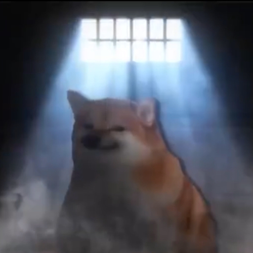 滑水的狗 