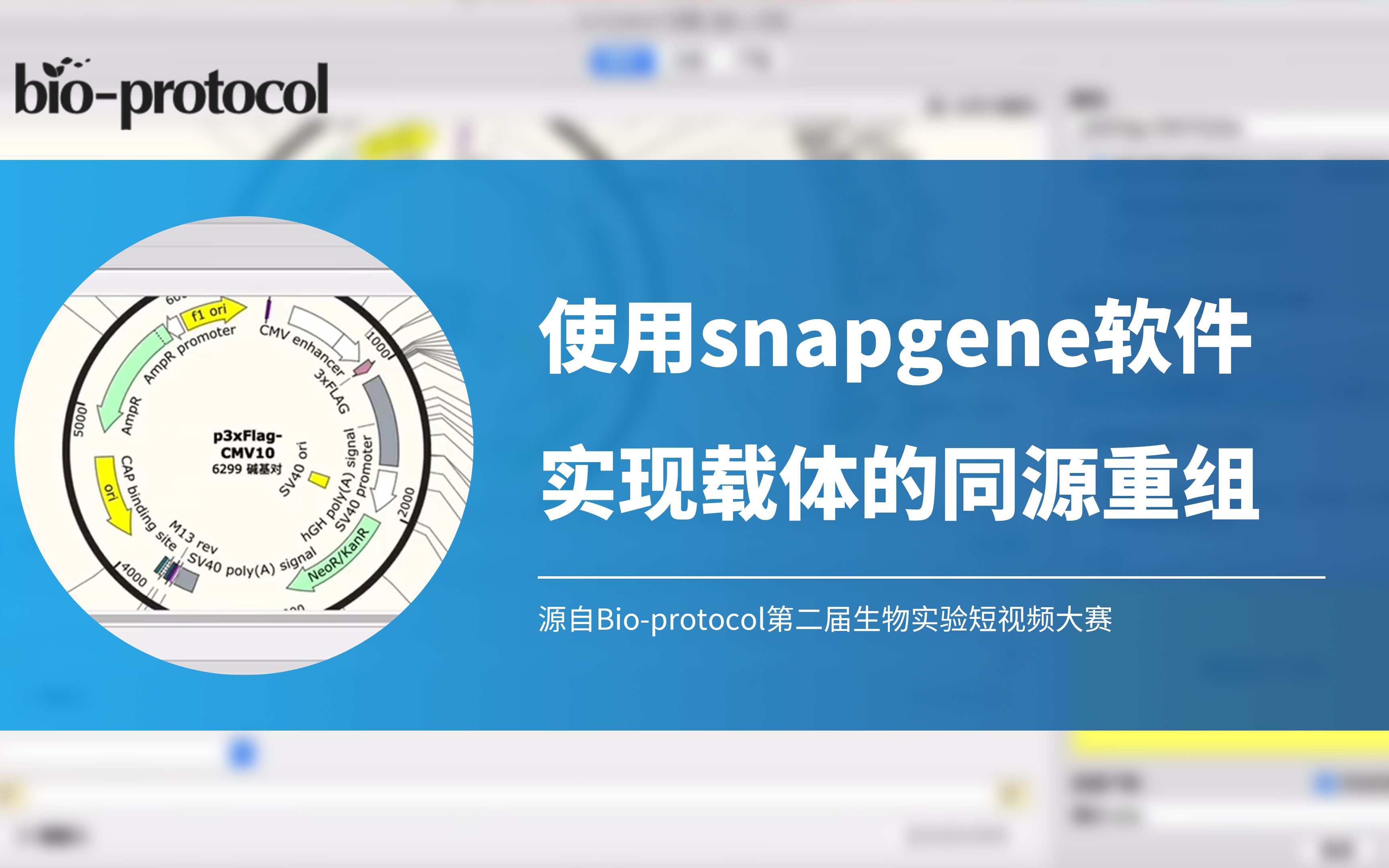 【短视频大赛】使用snapgene软件的infusion功能实现载体的同源重组