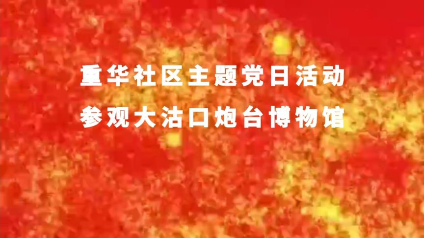 一次生动的主题党日活动