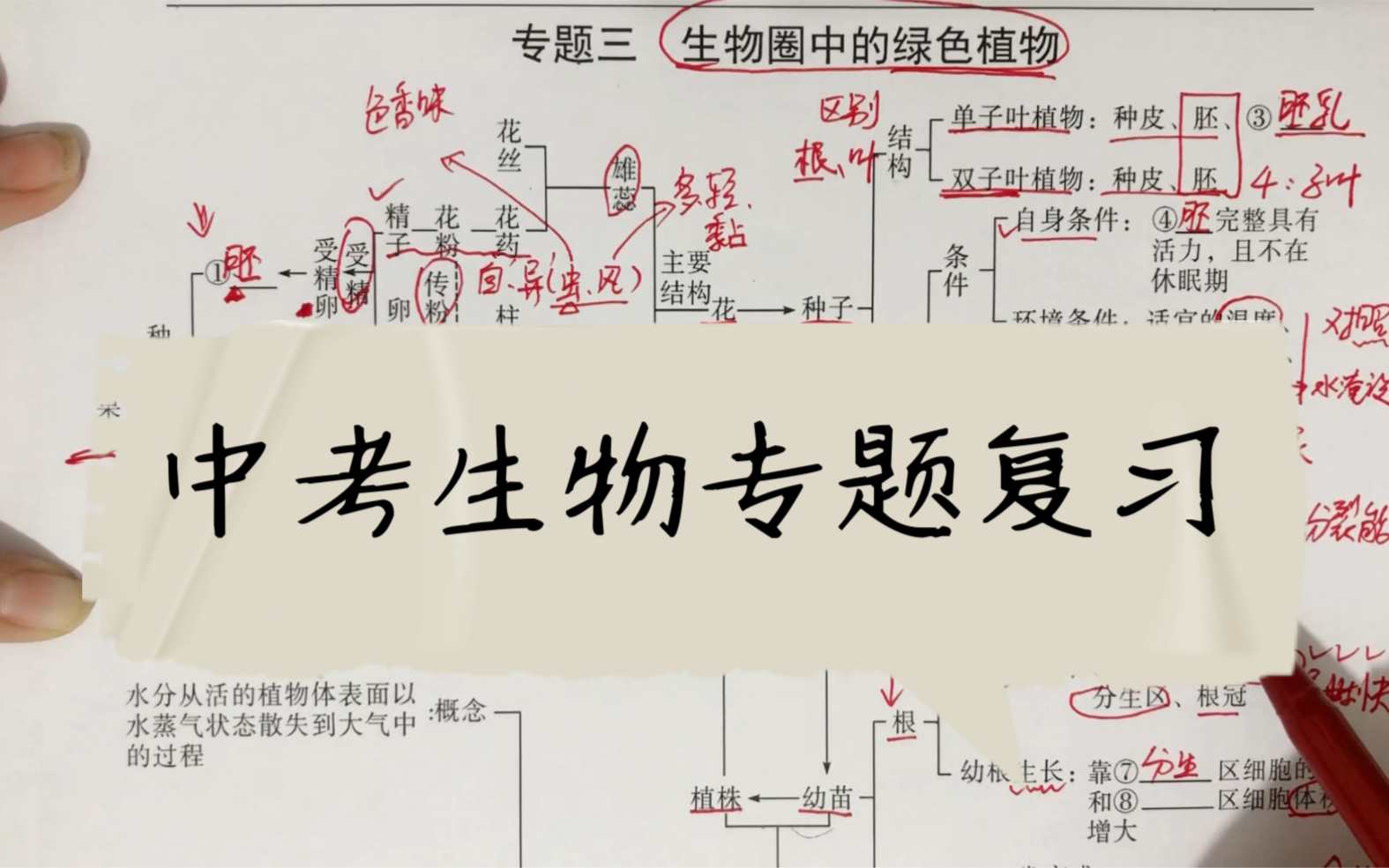 【中考生物】二轮专题复习3:绿色开花植物的一生