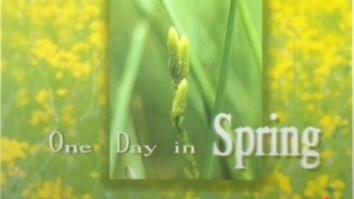 初中学校午睡起床放的歌,回忆一下