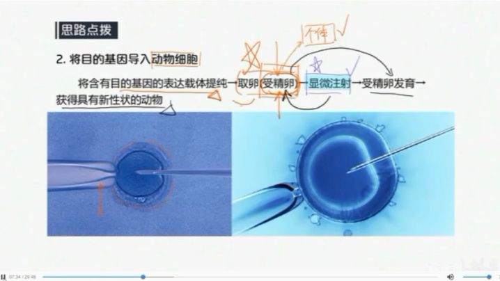 基因工程基本操作3