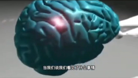 五官传递给大脑的信息是电信号