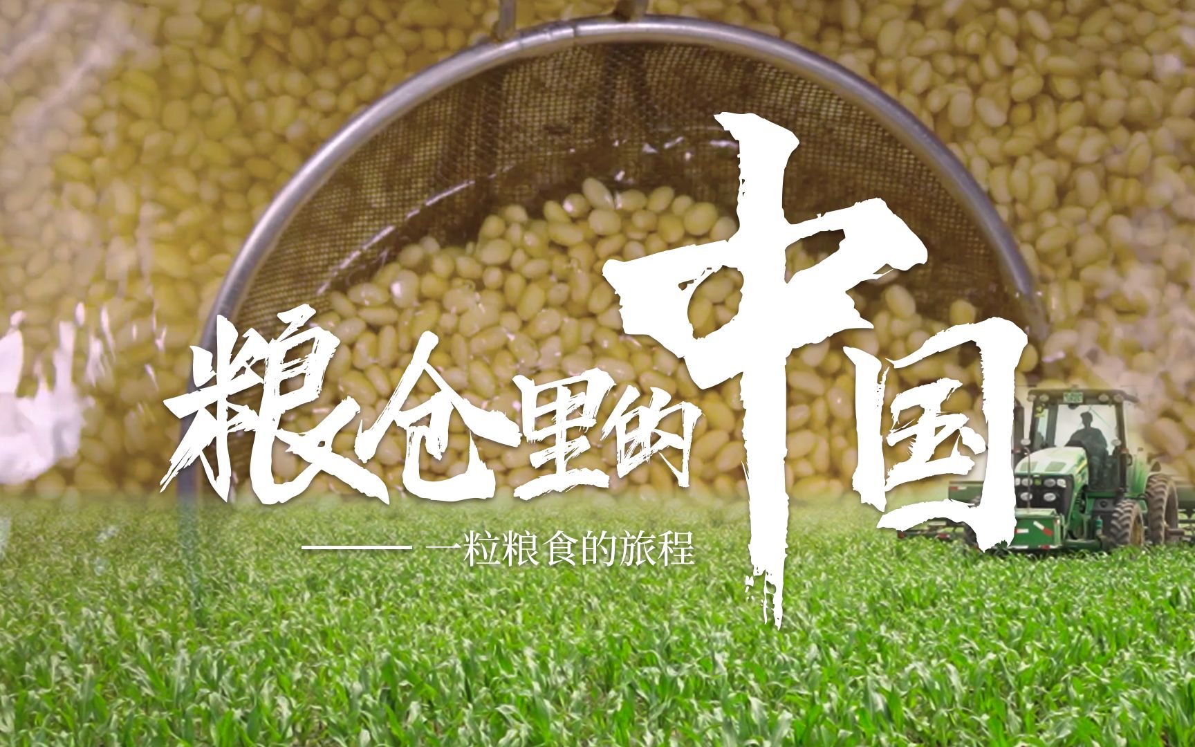 从种子到餐桌美食,一粒粮食会经历怎样的旅程?