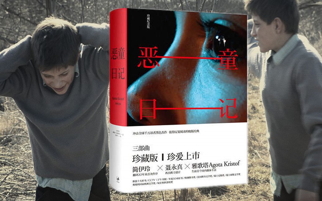 5分钟看一本书之《恶童日记》双胞胎兄弟为了生存,每天互殴对方