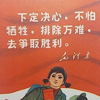侨中燕姐 