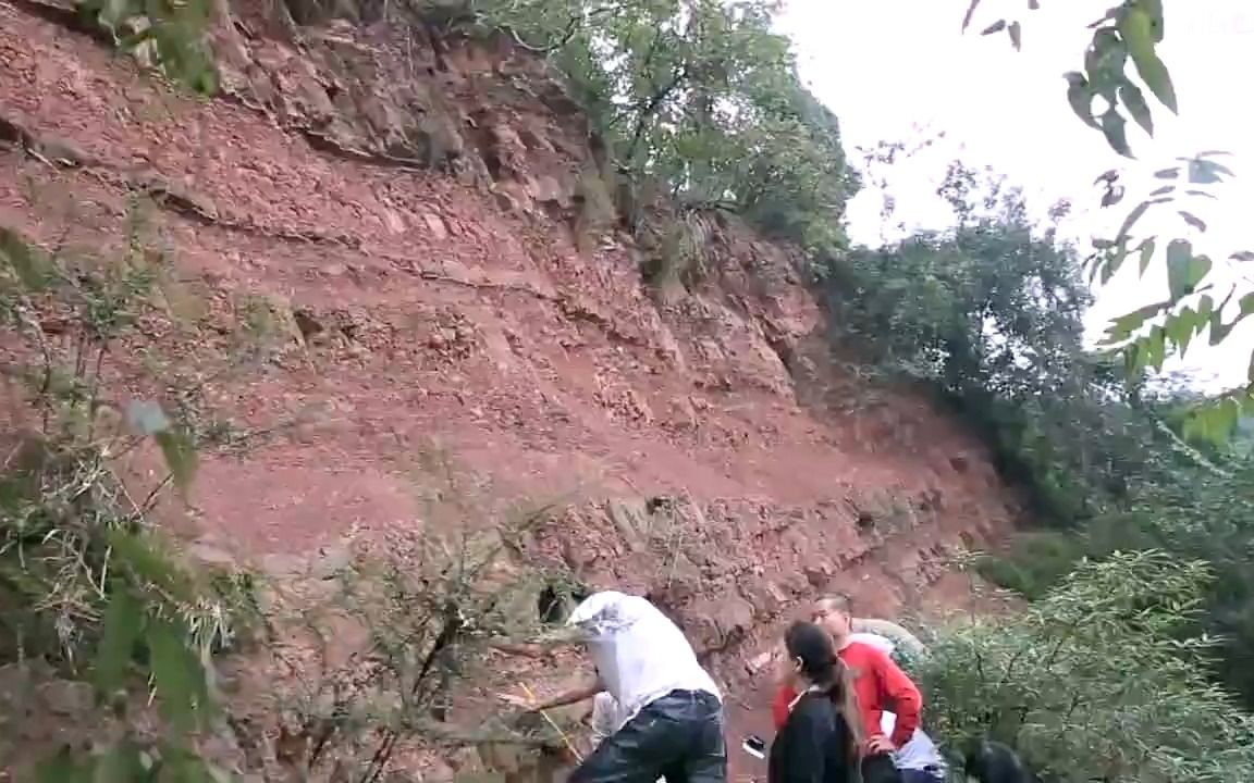 [3.1.2]--义务教育地理课程目标