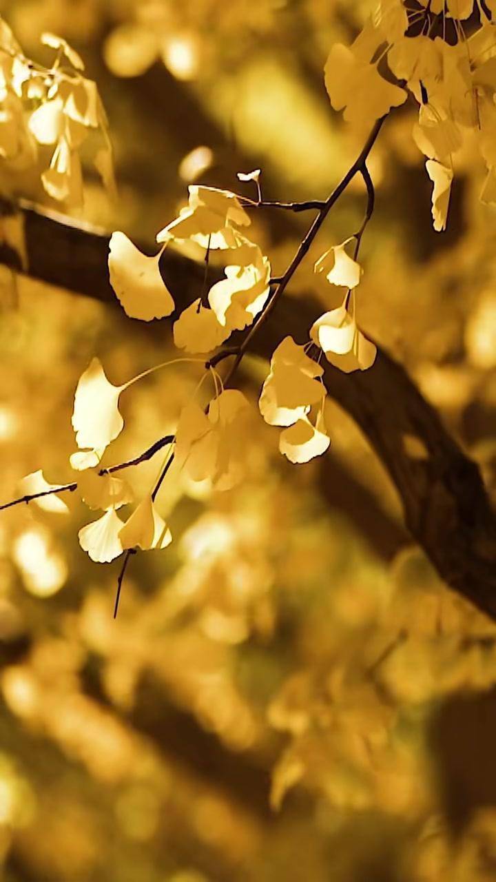 ...分类守规不混投,垃圾变"宝"解烦忧#2025年城管法律法规知识宣传月