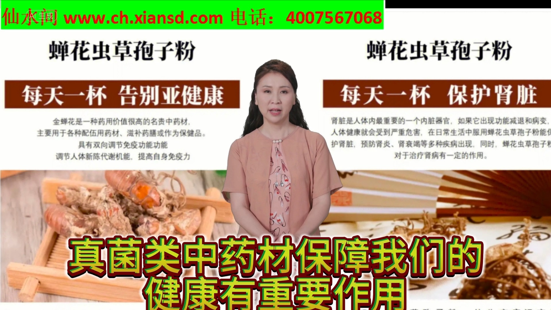 仙水间蝉花虫草纯粉介绍视频