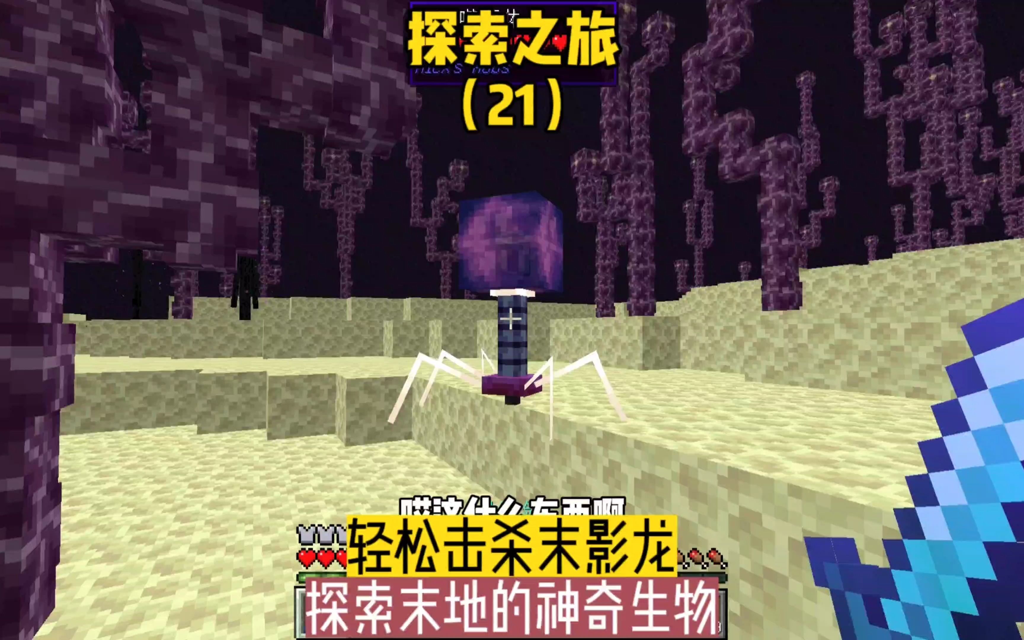 探索之旅(21):轻松击败末影龙,探索末地的神奇生物_单机游戏热门视频