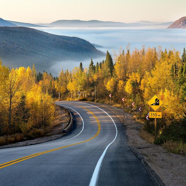 满天-星辰-大海 